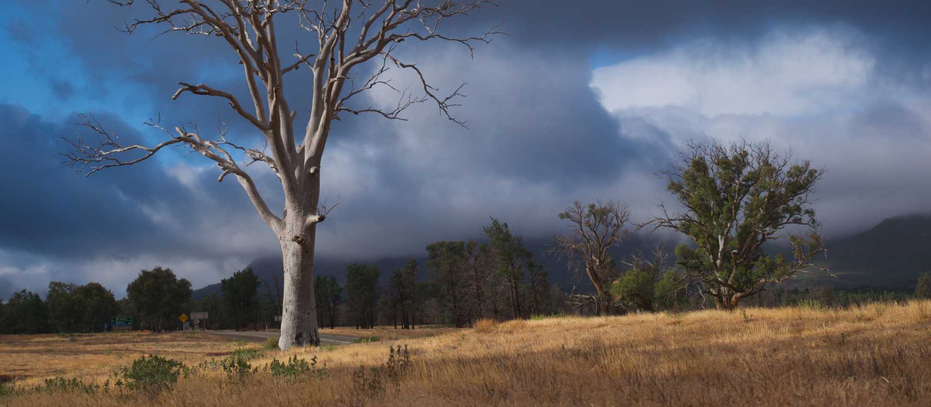 Family Heysen & Flinders Ranges Adventure Tour | Family Walking Trips ...