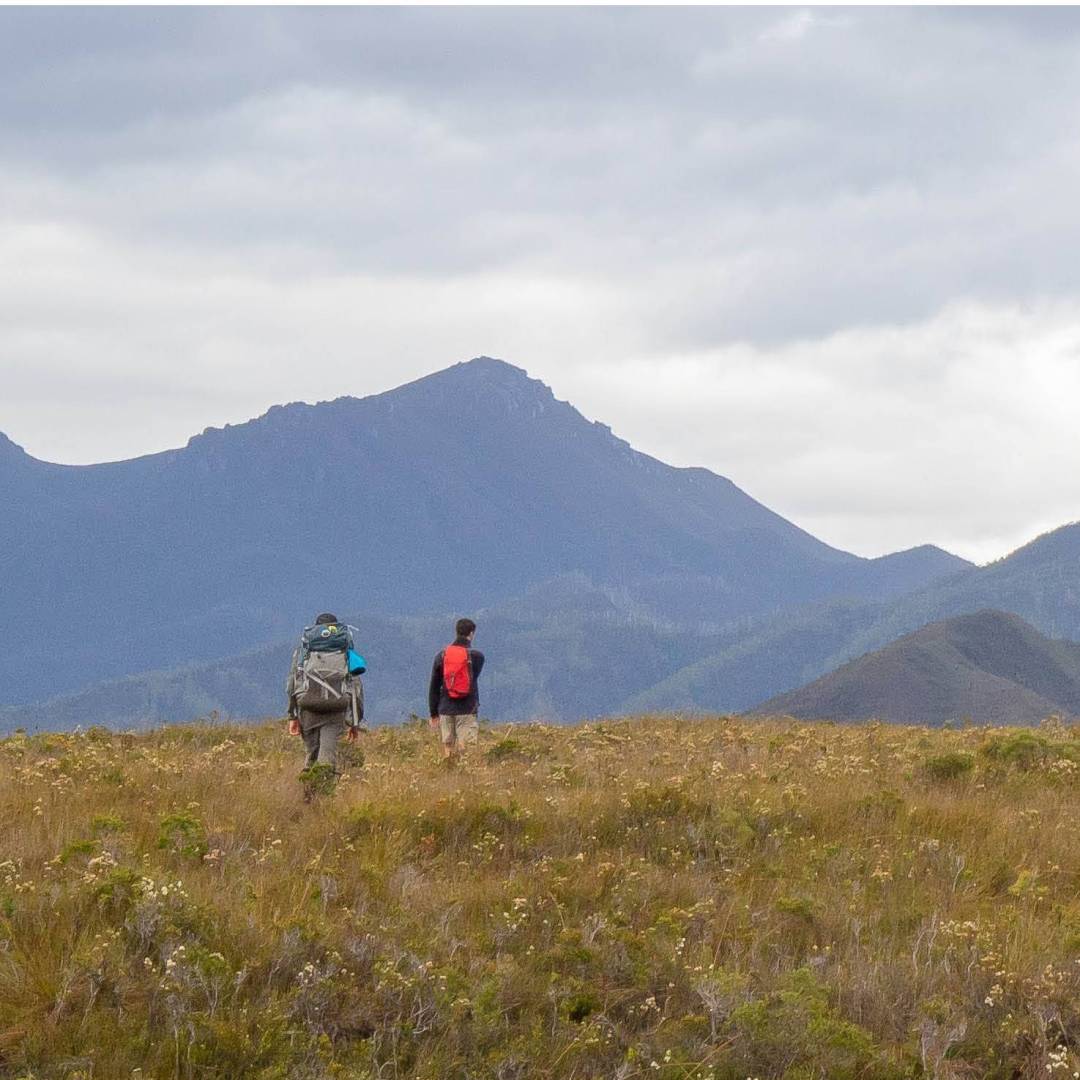 South Coast Track Trekking Tour | Remote Tasmanian Bushwalks