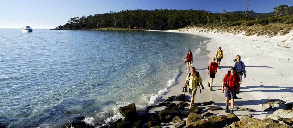 The Maria Island Walk | Maria Island Guided Walking Tour Tasmania
