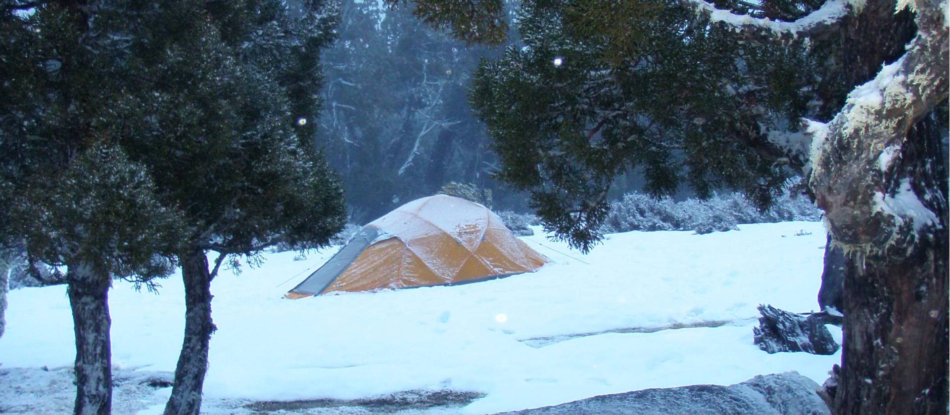 Overland Track Winter Hike | Overland Track Treks Tasmania