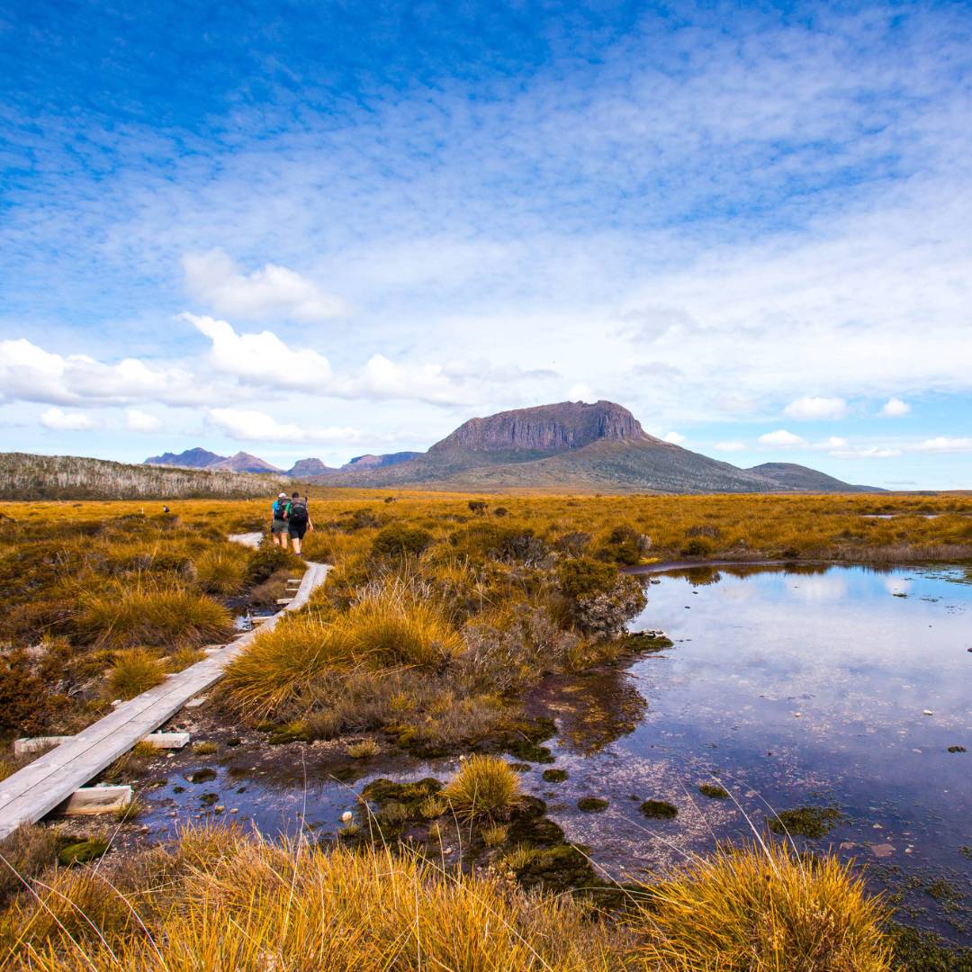Cradle Huts Overland Track Walk | Hut Based Overland Track Hike