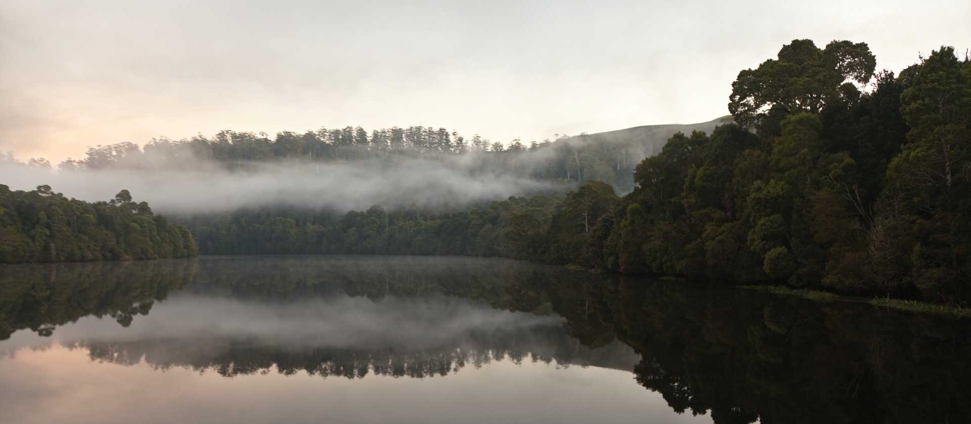 Tarkine Rainforest Walking Tour | Takayna Tasmania Hiking Trips