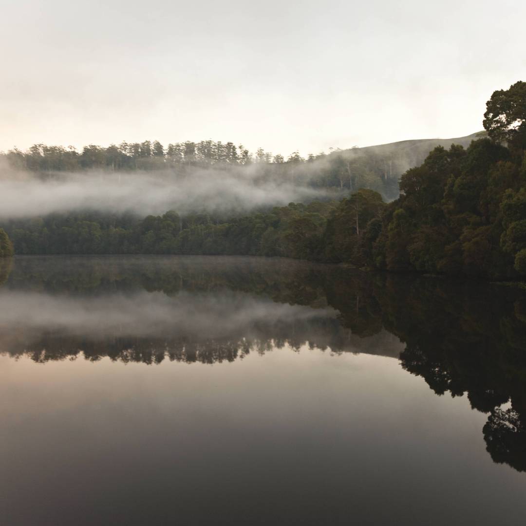 Tarkine Rainforest Walking Tour | Takayna Tasmania Hiking Trips