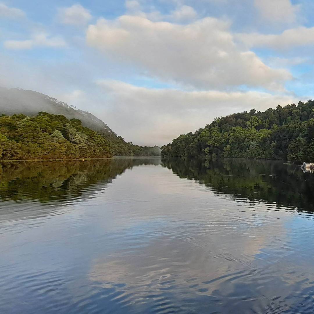 Tarkine Rainforest Walking Tour | Takayna Tasmania Hiking Trips