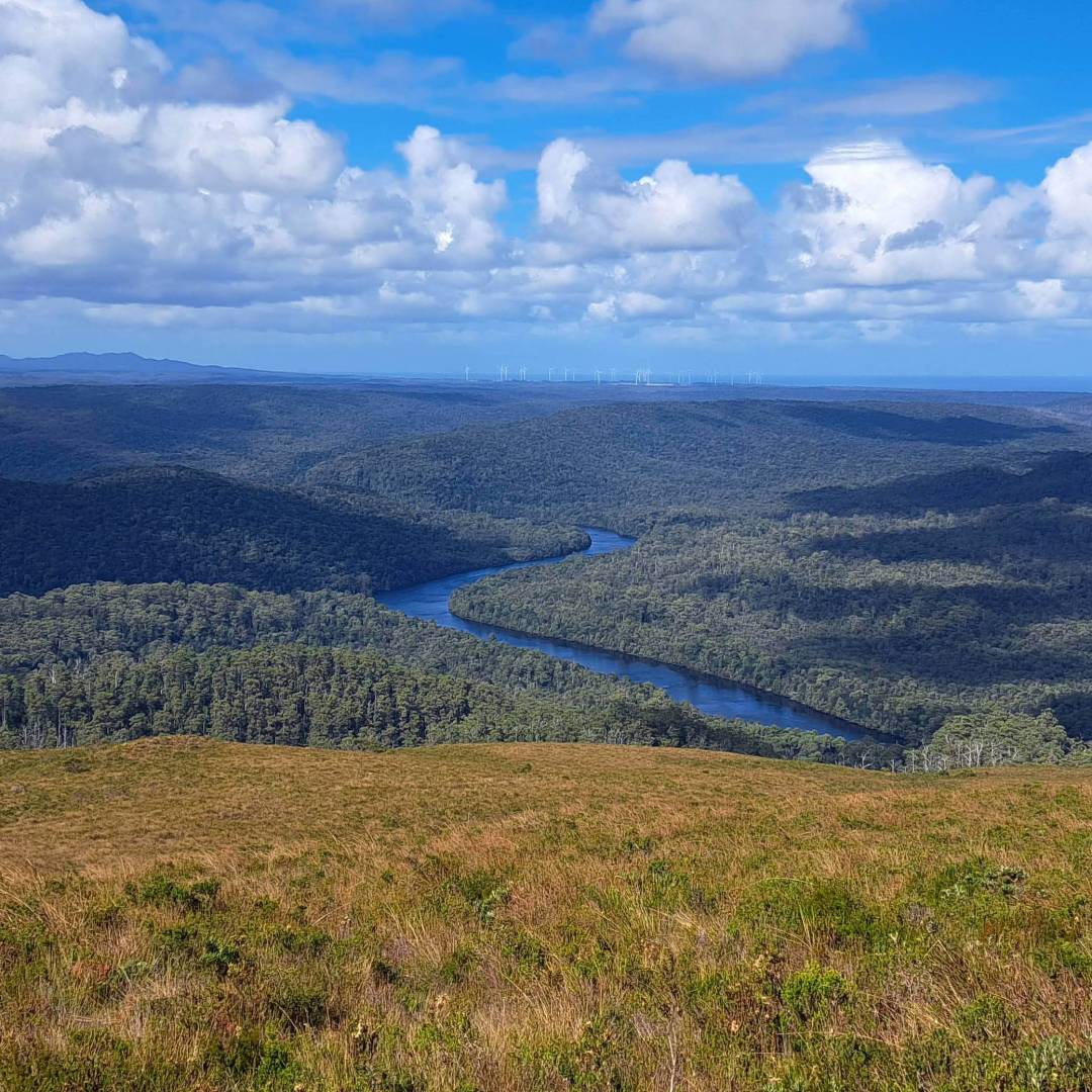 Tarkine Rainforest Walking Tour | Takayna Tasmania Hiking Trips