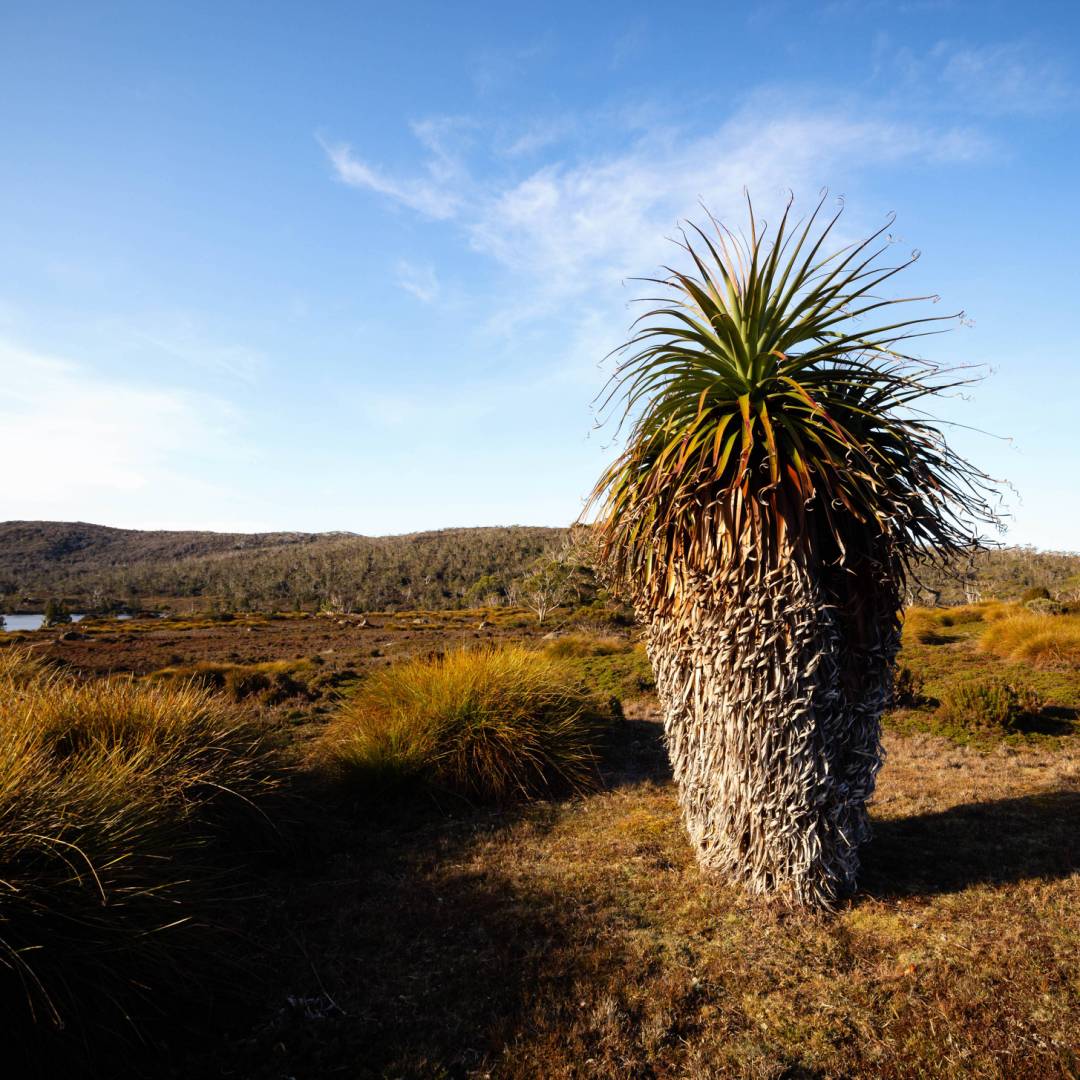 Overland Track Self Guided Walk | Overland Track Tours Tasmania