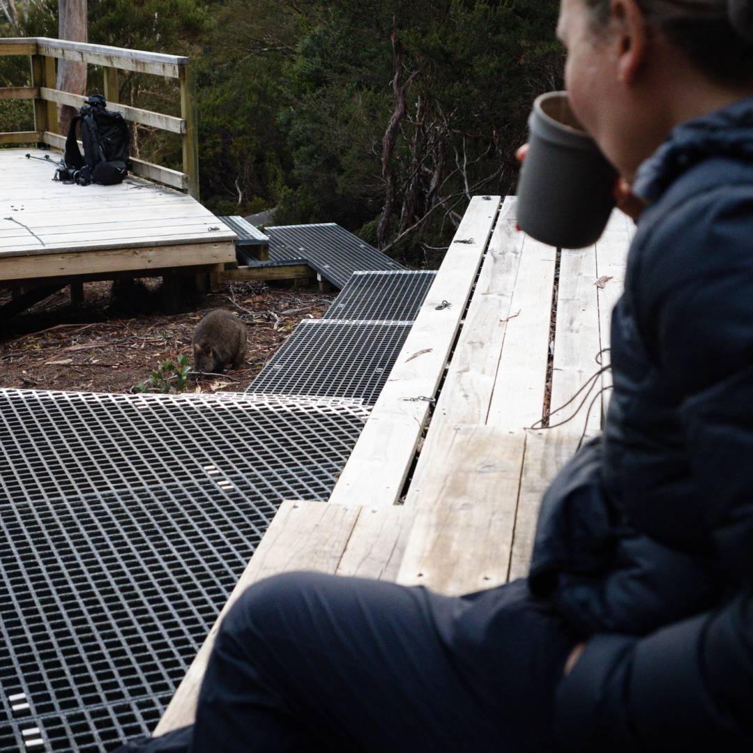 The Overland Track Family