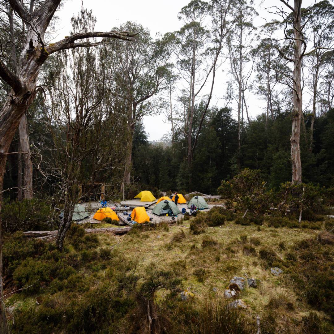 Overland Track Guided Walking Tour | Trek Tasmania's Overland Track