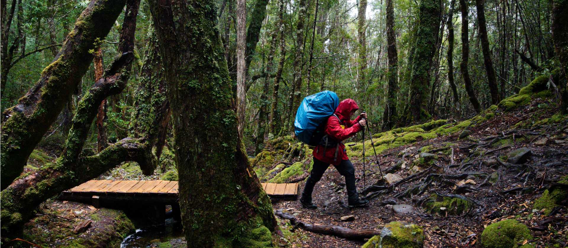 Overland Track Self Guided Walk | Overland Track Tours Tasmania