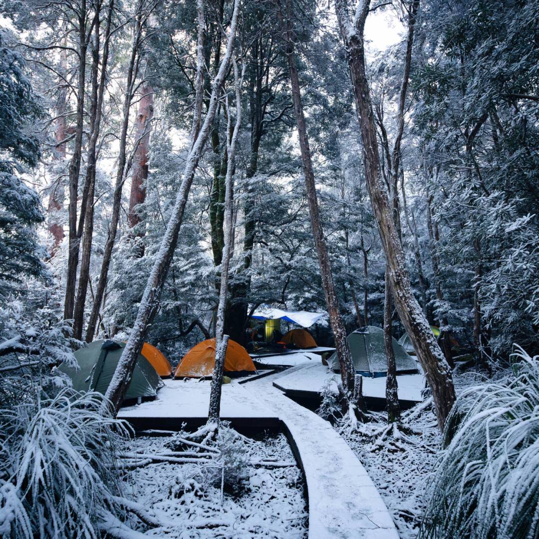 Overland Track Winter Hike | Overland Track Treks Tasmania