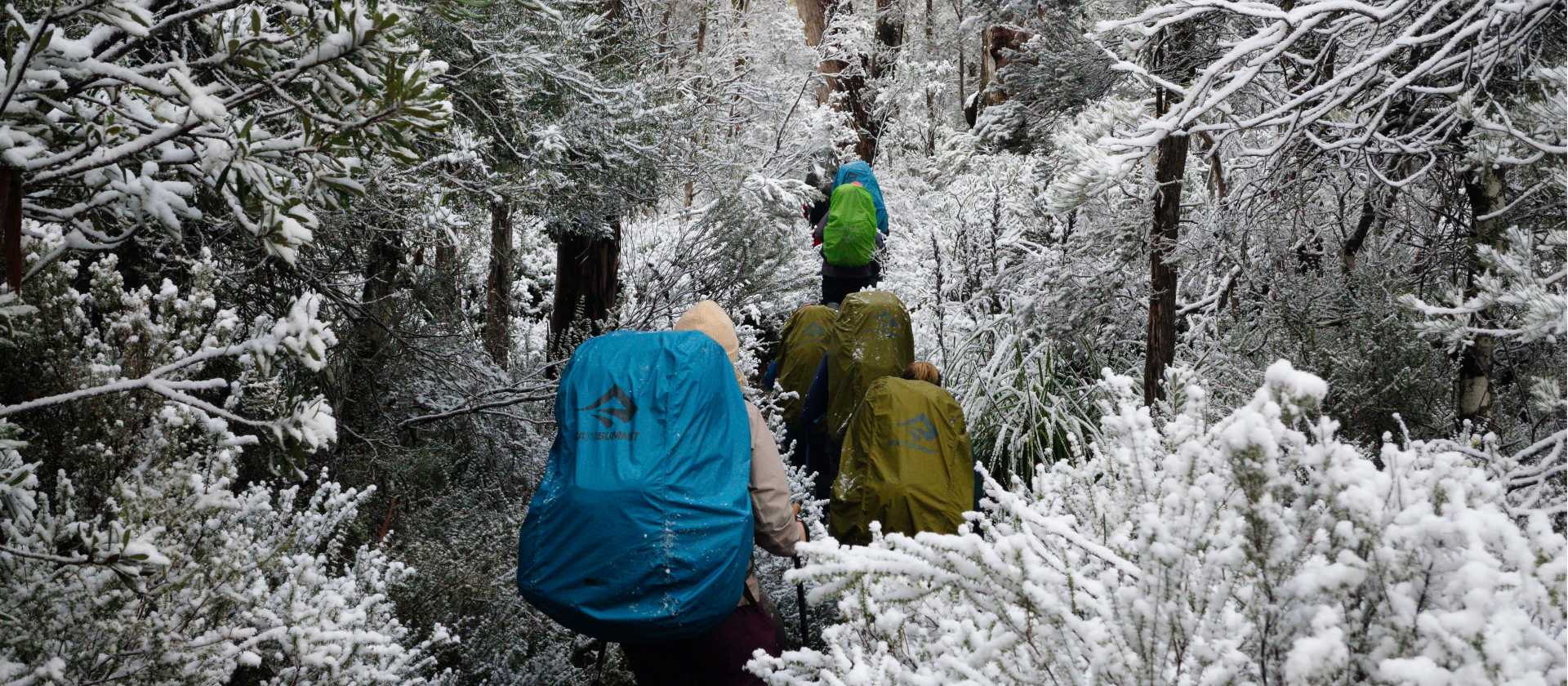 Overland Track Winter Hike | Overland Track Treks Tasmania