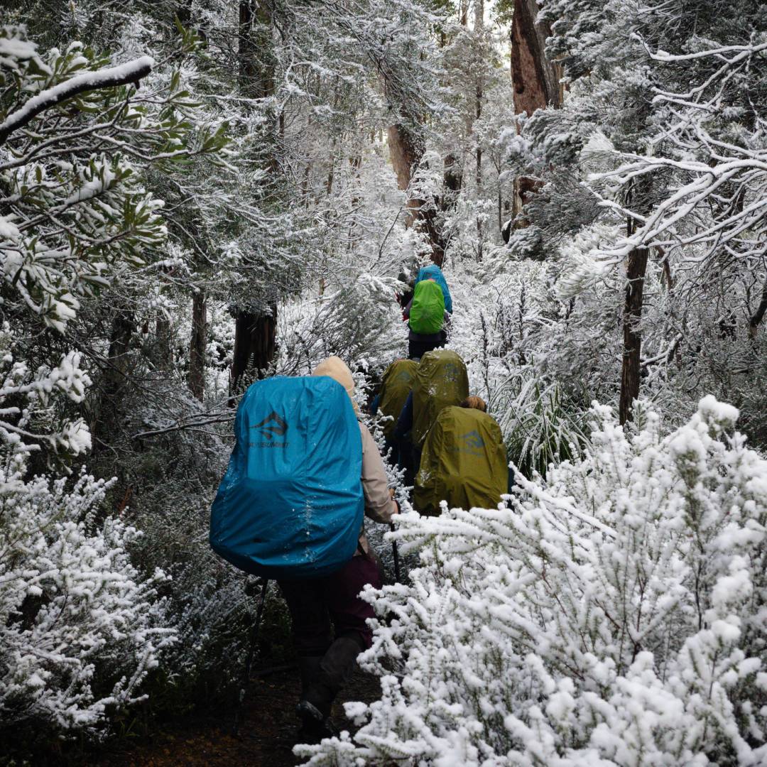 Overland Track Winter Hike | Overland Track Treks Tasmania