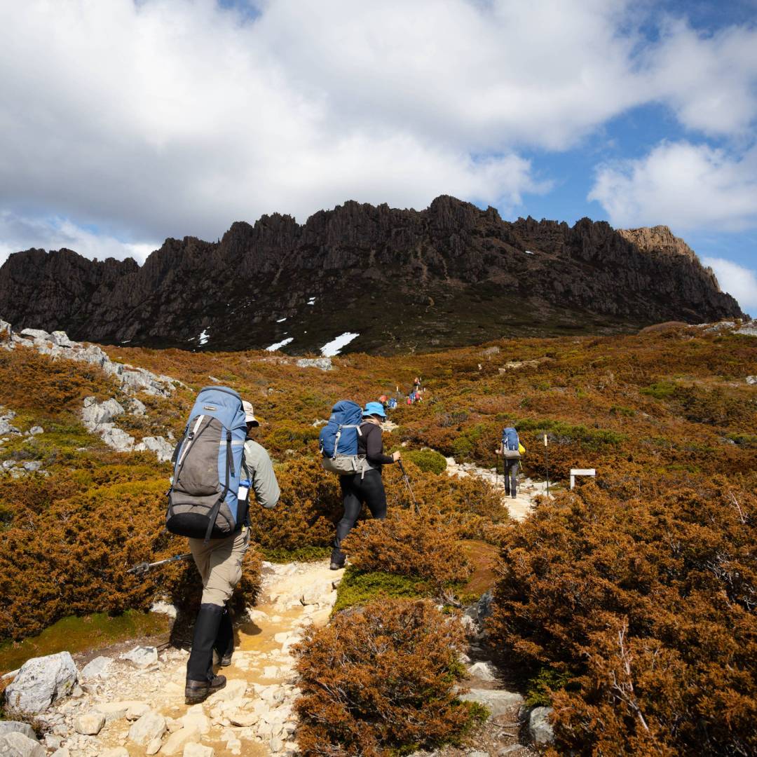 Overland Track Guided Walking Tour | Trek Tasmania's Overland Track