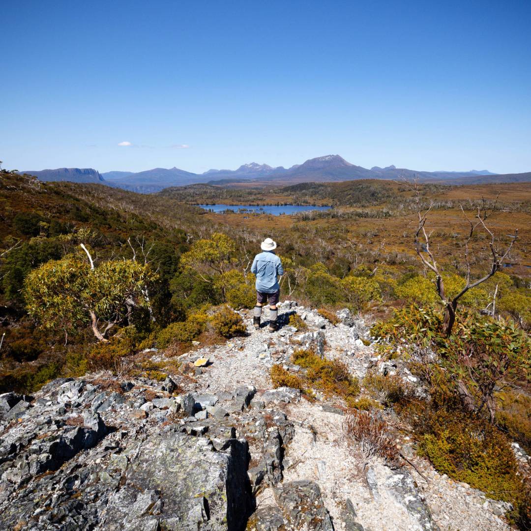 Overland Track Guided Walking Tour | Trek Tasmania's Overland Track