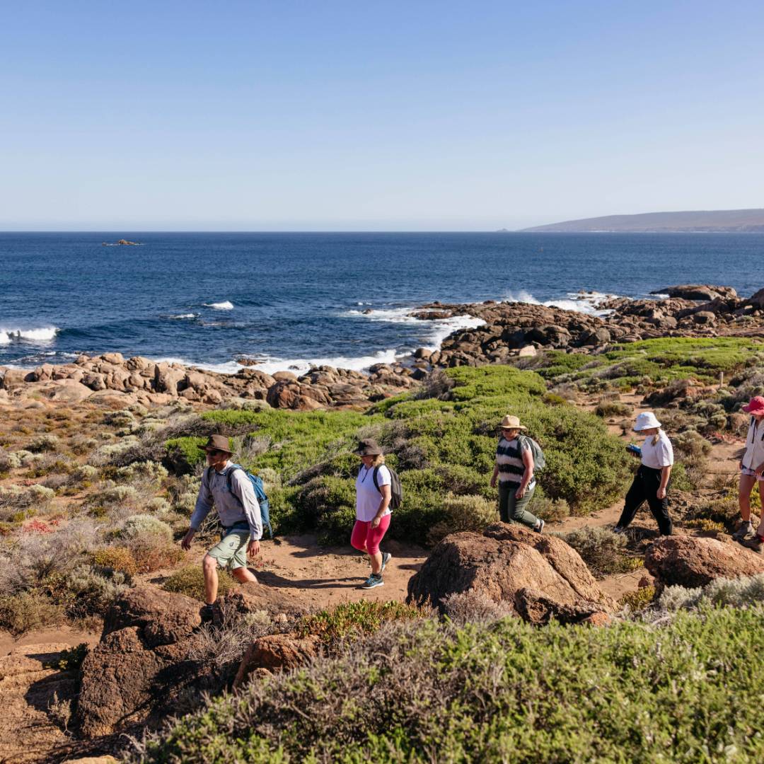 Classic Cape to Cape Walk | Western Australia Adventures