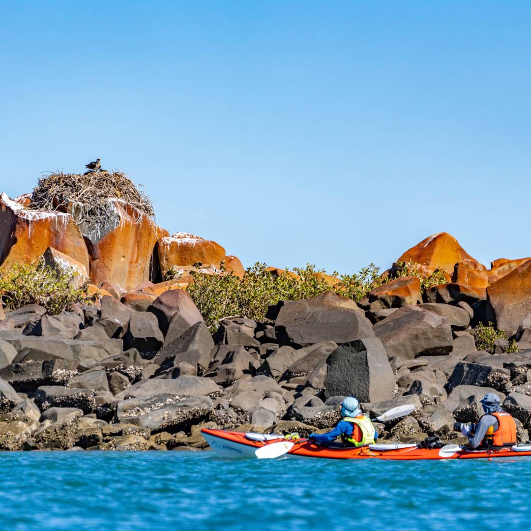 Dampier Archipelago and Murujuga Sea Kayak Expedition | Western ...