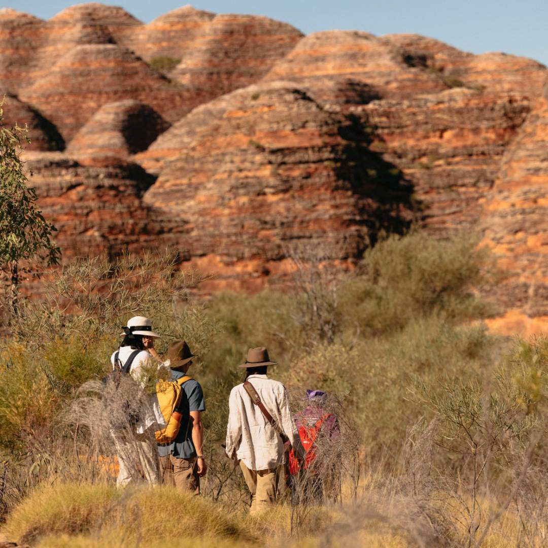 Bungle Bungle Purnululu Walking Trip | Bungle Bungle WA tours