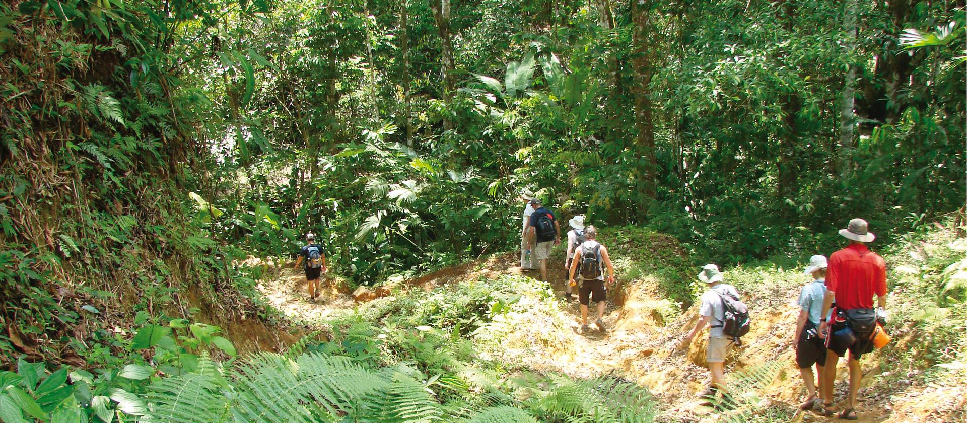 Bespoke Volcano Trekking | Private Group Tours in Costa Rica | World ...