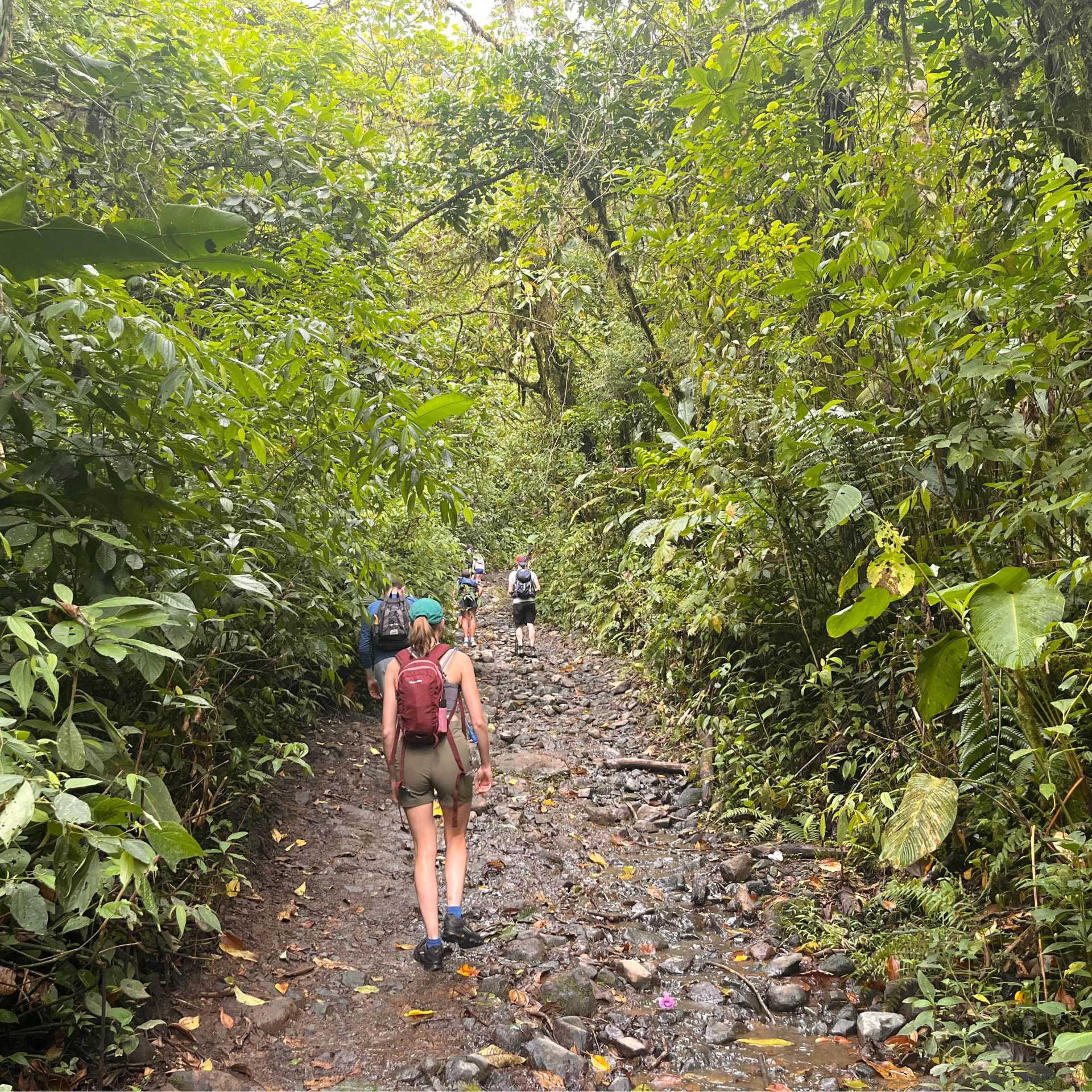 Camino de Costa Rica Walking Tour | Hike Costa Rica