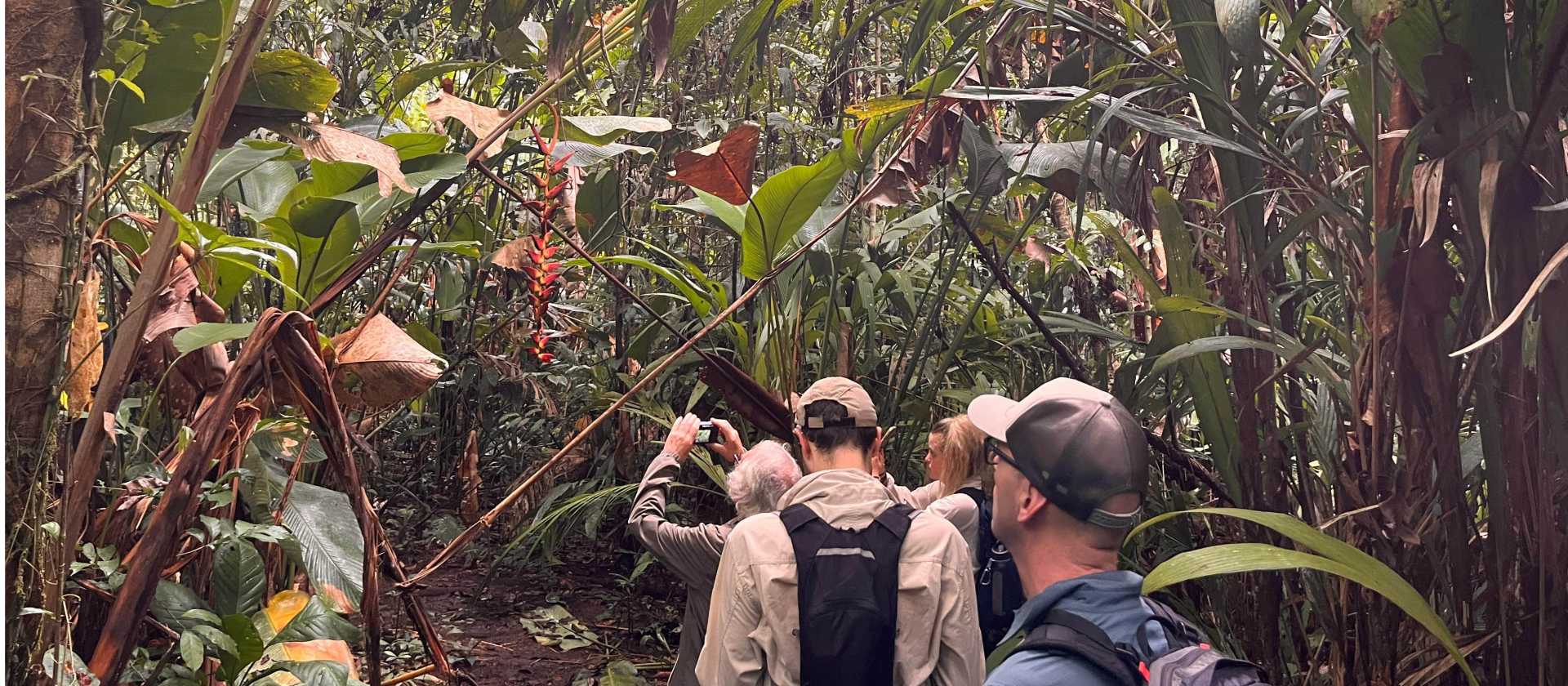 Camino de Costa Rica Walking Tour | Hike Costa Rica