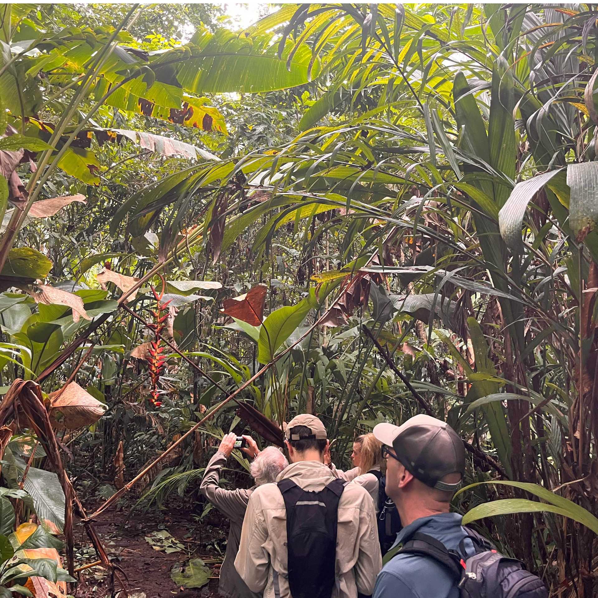 Camino de Costa Rica Walking Tour | Hike Costa Rica