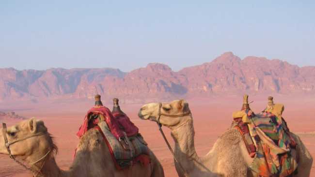 Jordan Trips & Tours | Walking & Cycling Adventures | World Expeditions