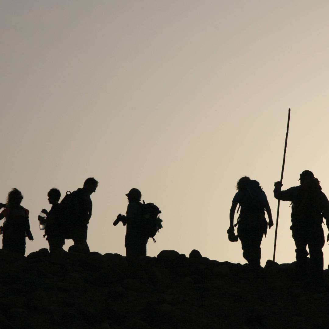 Jordan Trail Highlights Walk & Wadi Rum | Active Jordan Tours | World ...