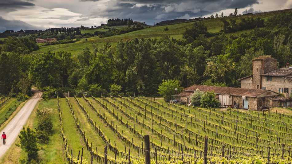 Via Francigena: Best Of Tuscany Walking Tour | Italy Camino