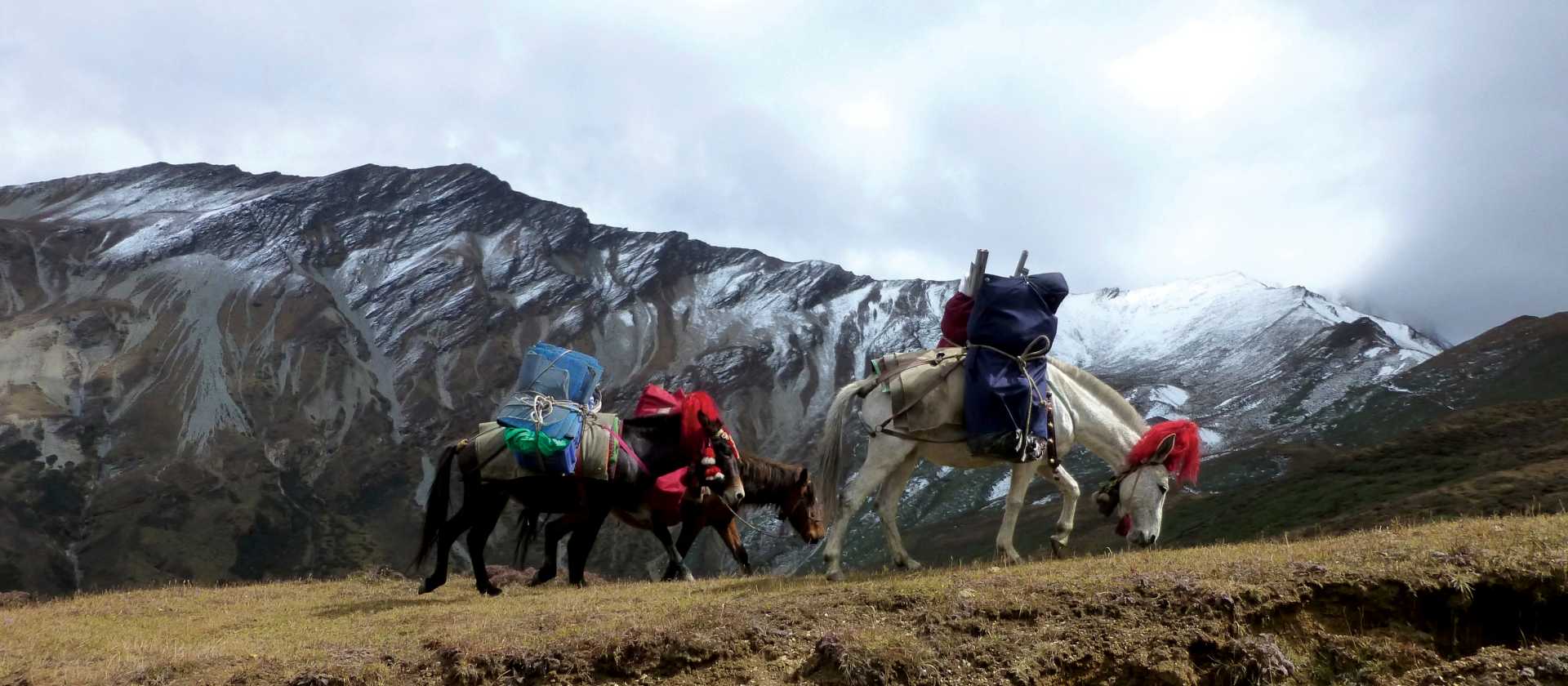 Bhutan Snowman Exploratory Trek | Remote Bhutan Trekking Tours | World ...