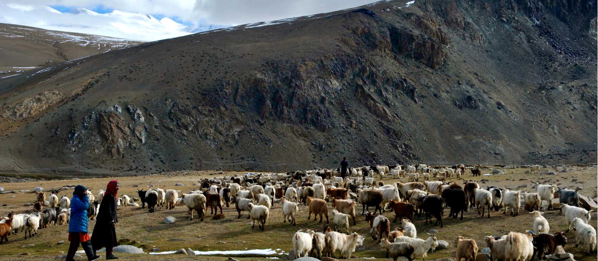 Ladakh Mountain Cycling | Indian Himalaya | Small Group Adventures
