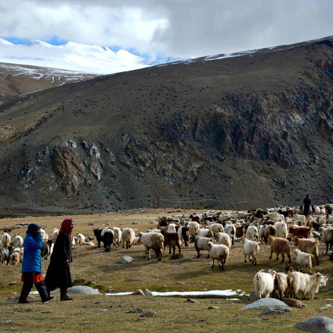Ladakh Mountain Cycling | Indian Himalaya | Small Group Adventures