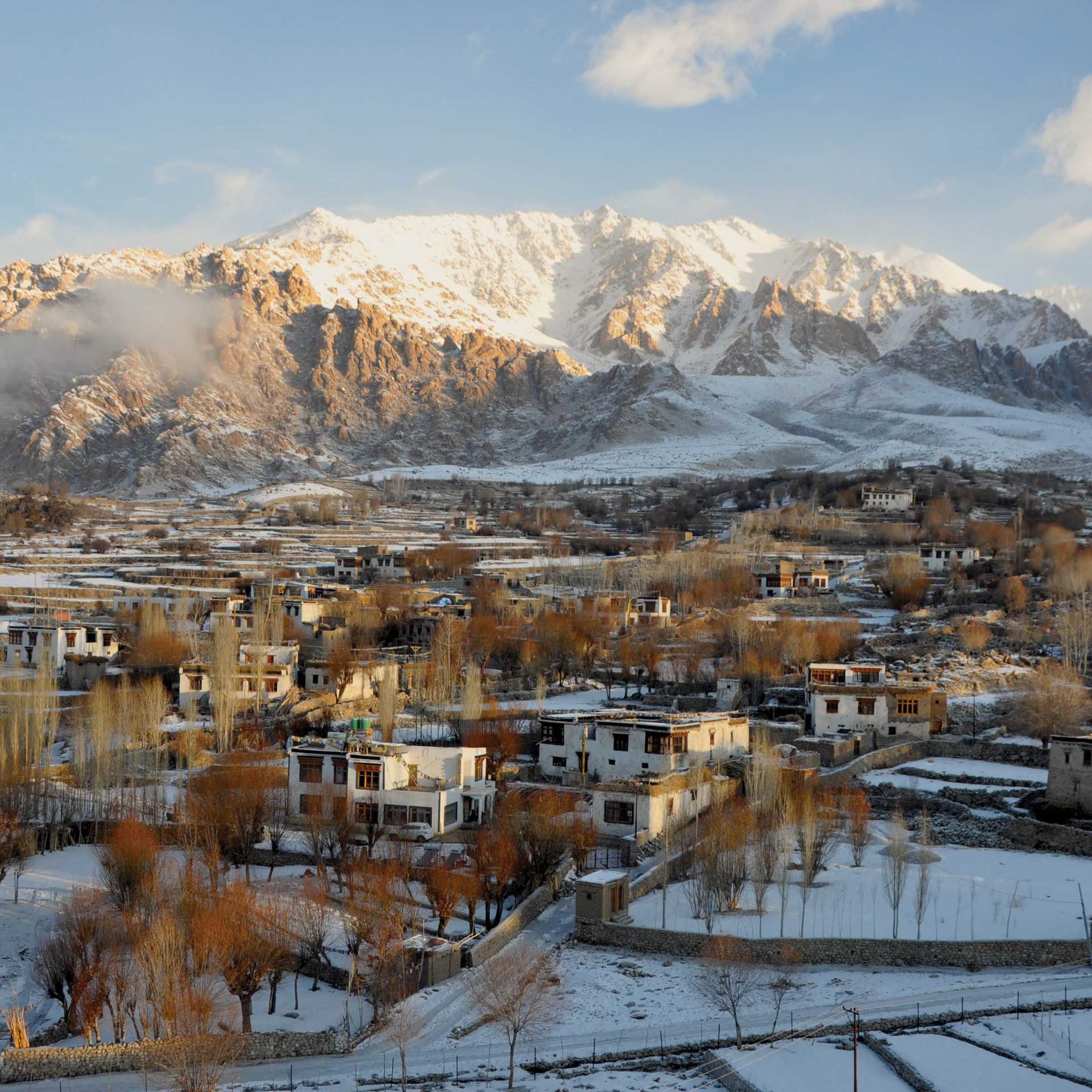 Julay Ladakh: tradition, culture & snow leopards with Margie Thomas ...