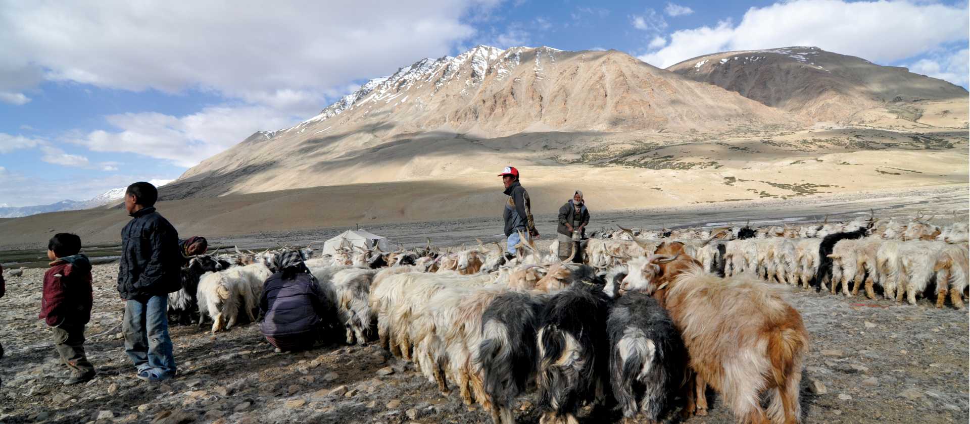 Ladakh Mountain Cycling | Indian Himalaya | Small Group Adventures