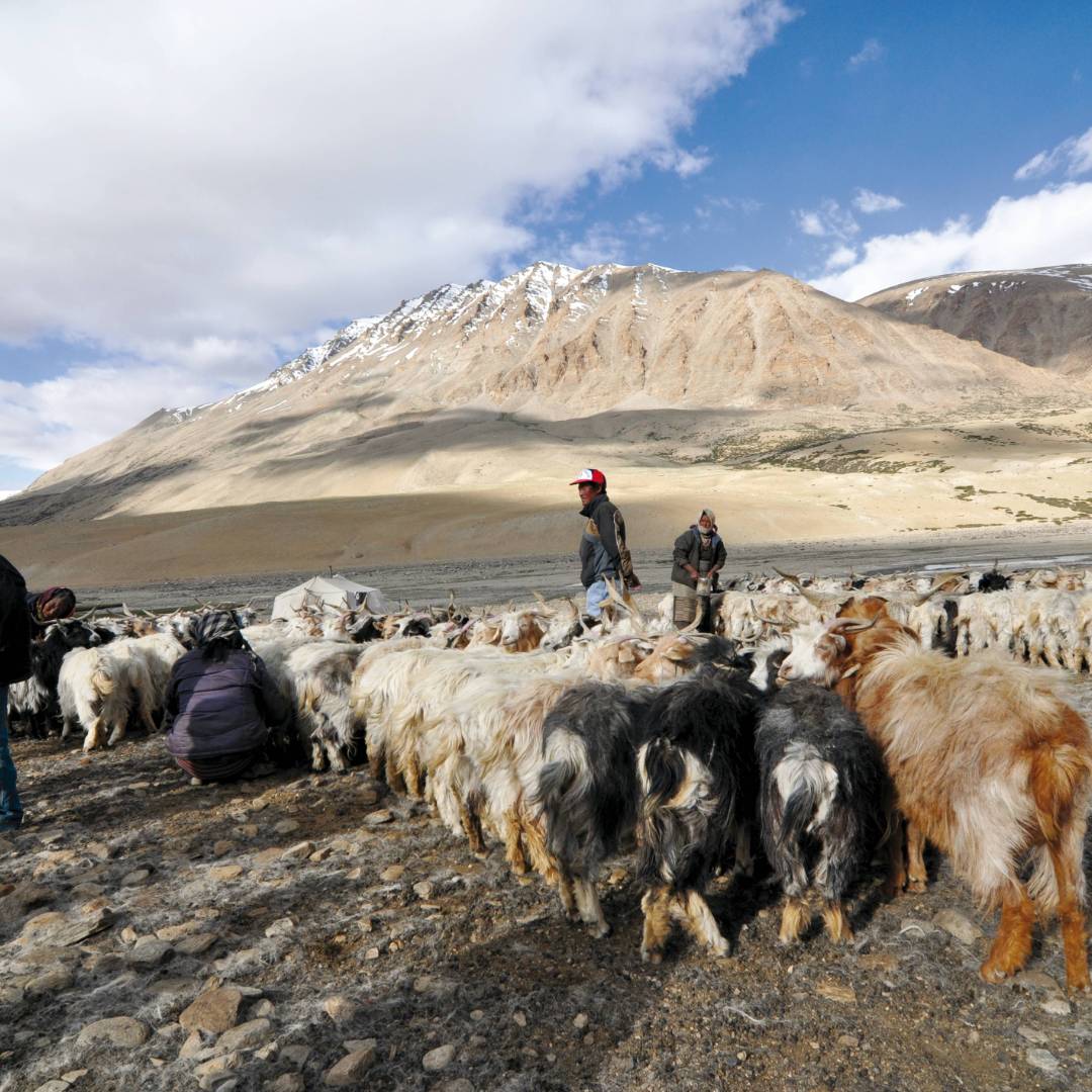 Ladakh Mountain Cycling | Indian Himalaya | Small Group Adventures