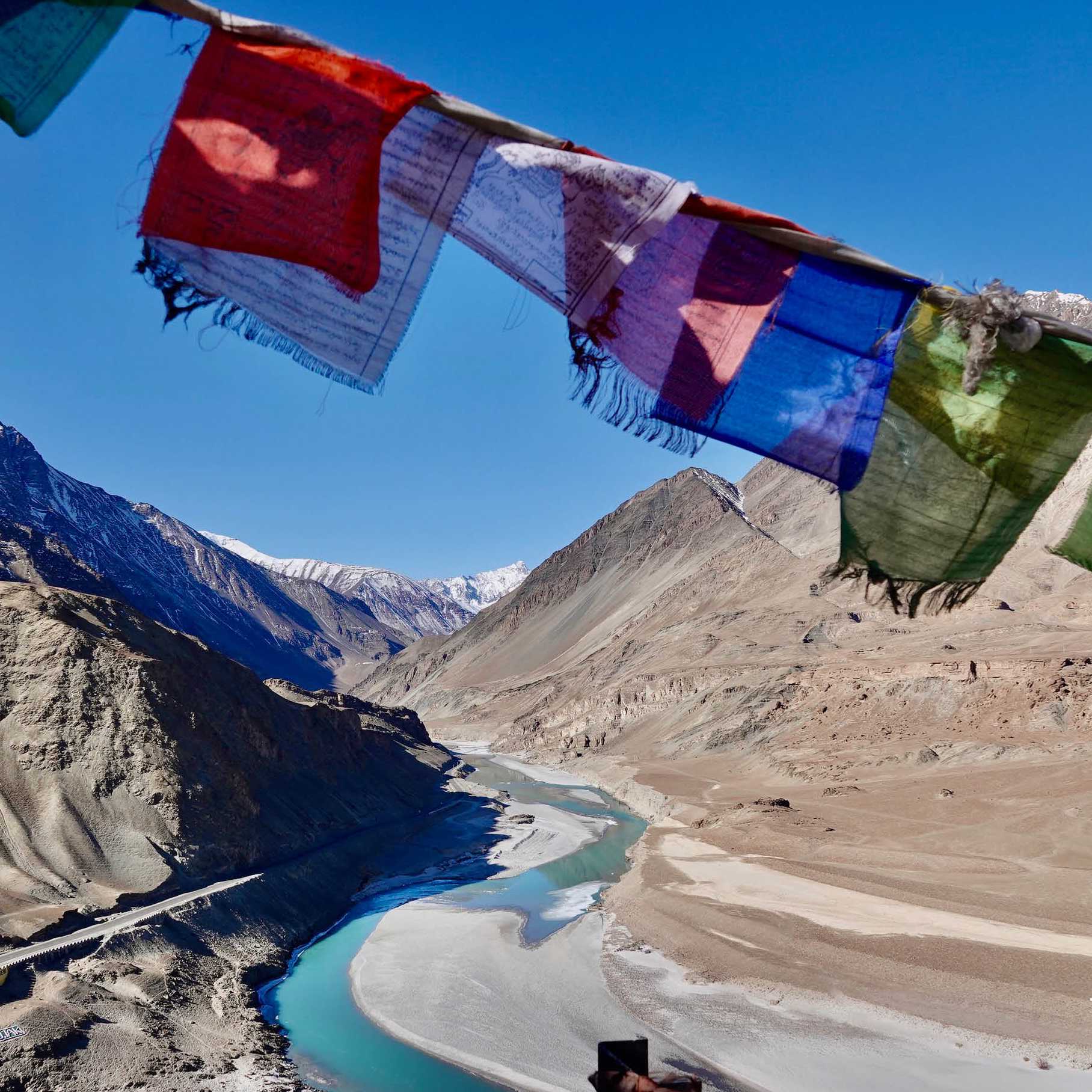 Julay Ladakh: tradition, culture & snow leopards with Margie Thomas ...