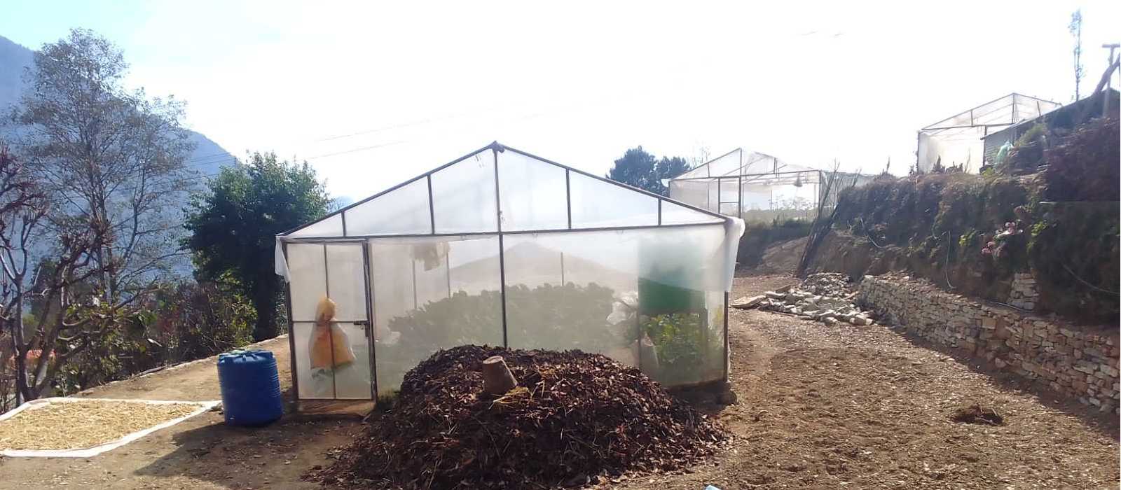 Phoolbari Greenhouse Construction & Organic Farming Training
