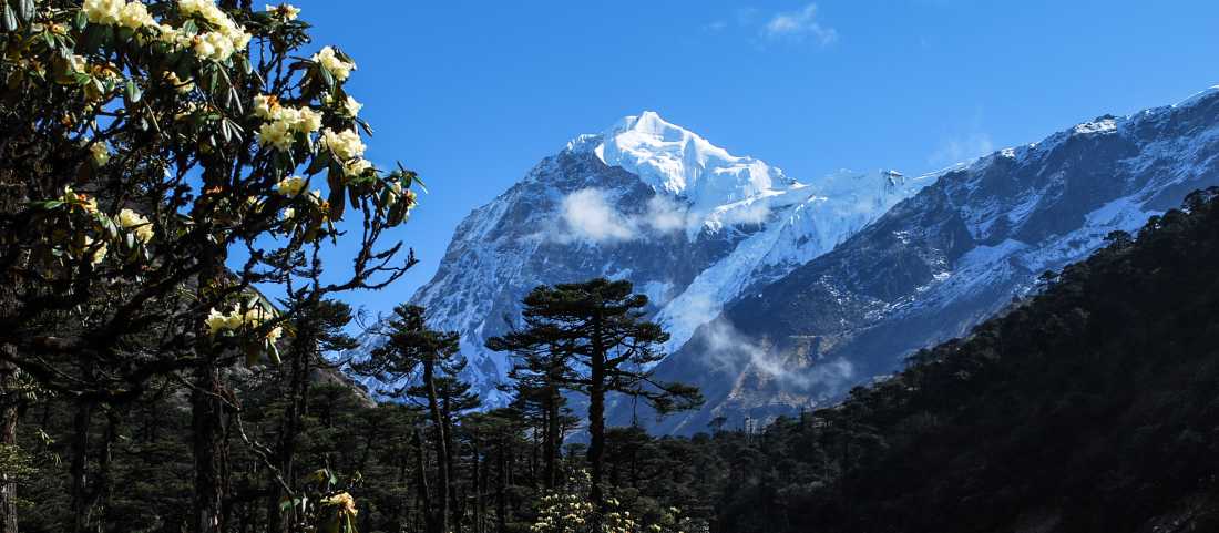 Sikkim Trekking, Hiking & Tours, India | World Expeditions