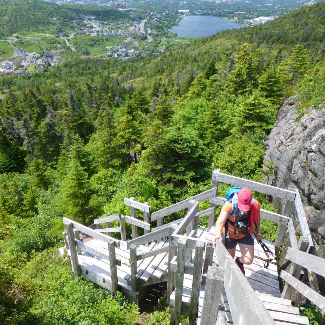 Hike Newfoundland’s East Coast Trail: Rugged Cliffs, Puffins & Coastal ...