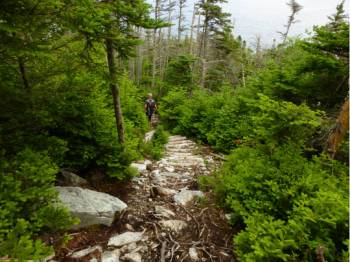 Guided Small Group Hike on Newfoundland’s East Coast Trail Highlights
