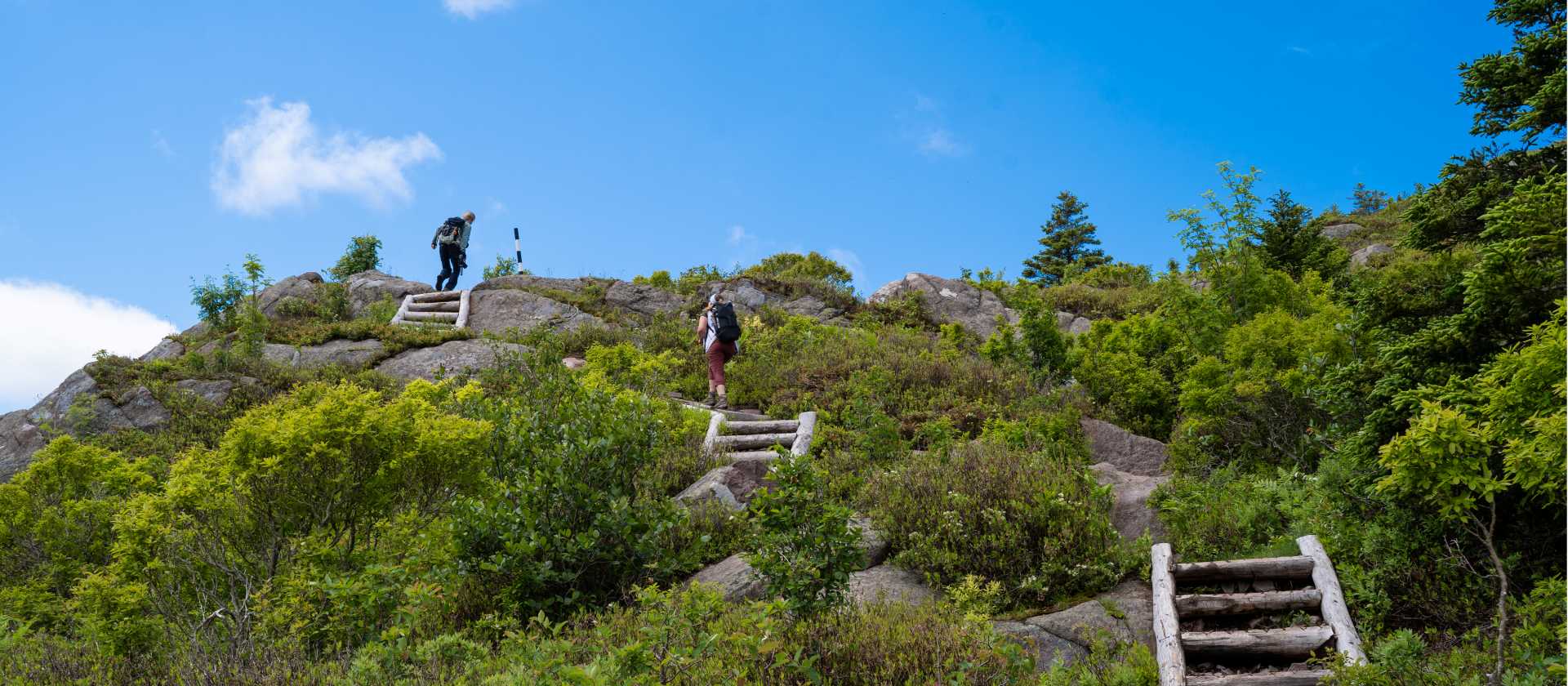 Hike Newfoundland’s Northern East Coast Trail: 7-Day B&B Adventure
