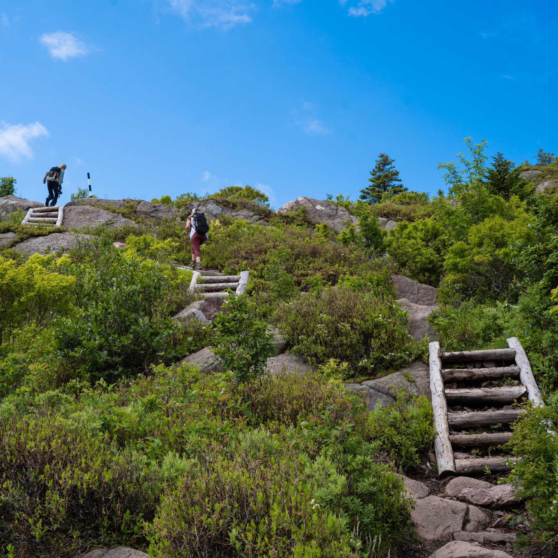 Hike Newfoundland’s Northern East Coast Trail: 7-Day B&B Adventure