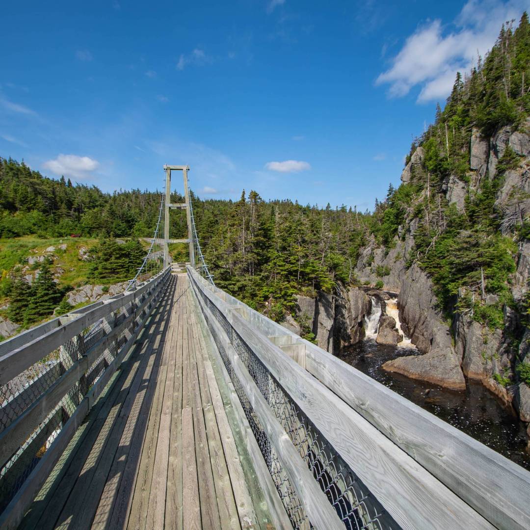 Guided Small Group Hike on Newfoundland’s East Coast Trail Highlights