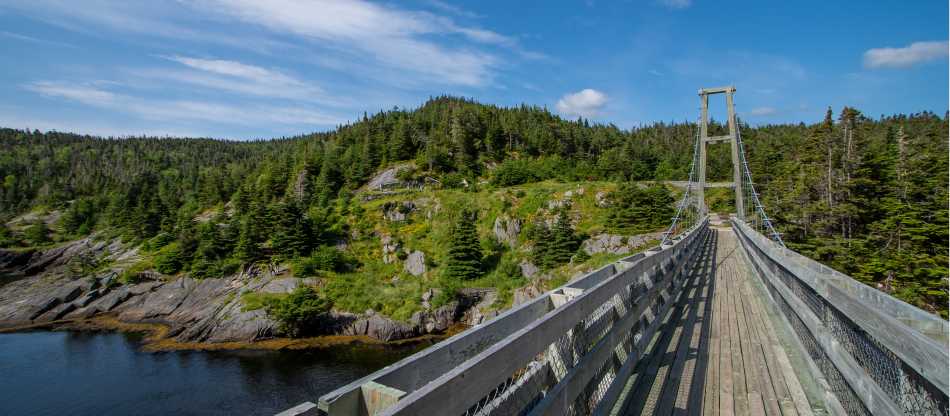 Hike Newfoundland’s East Coast Trail: Rugged Cliffs, Puffins & Coastal ...