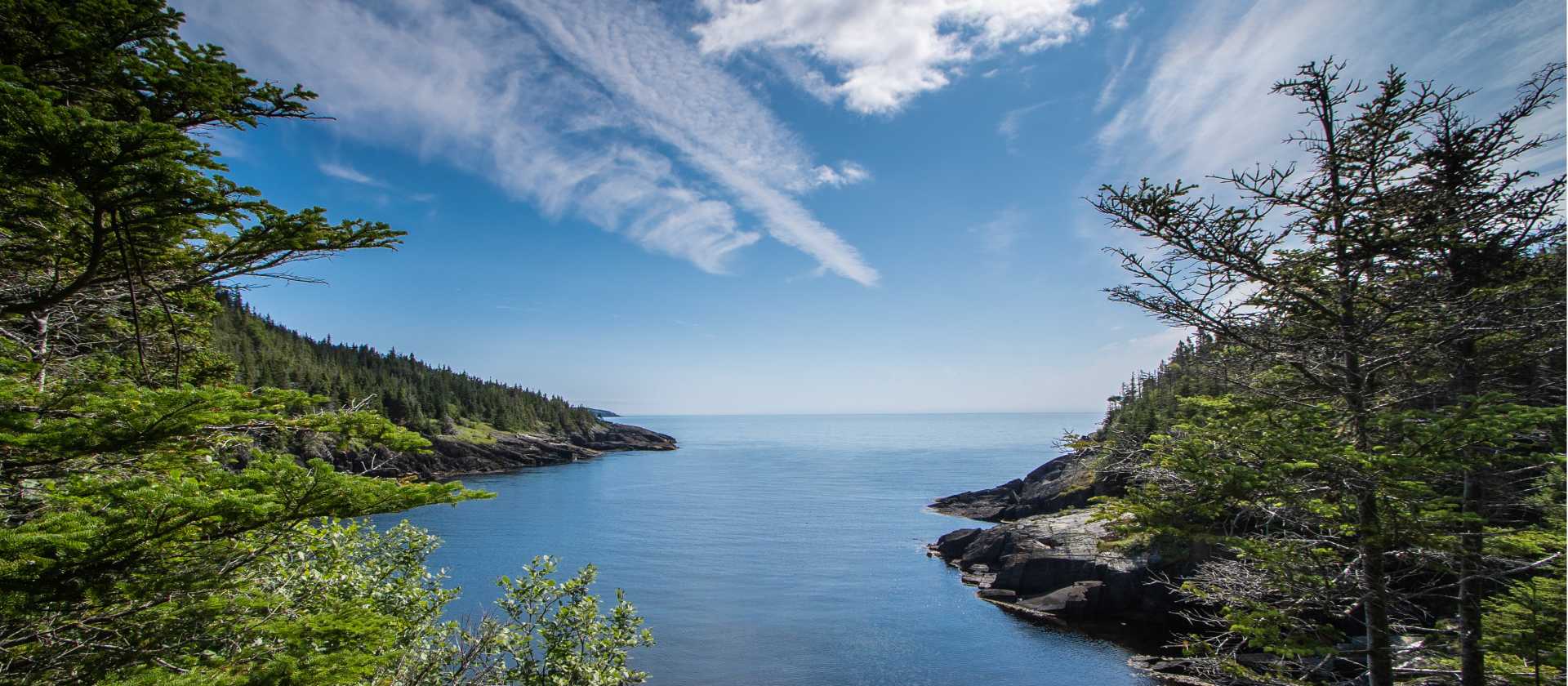 Guided Small Group Hike on Newfoundland’s East Coast Trail Highlights