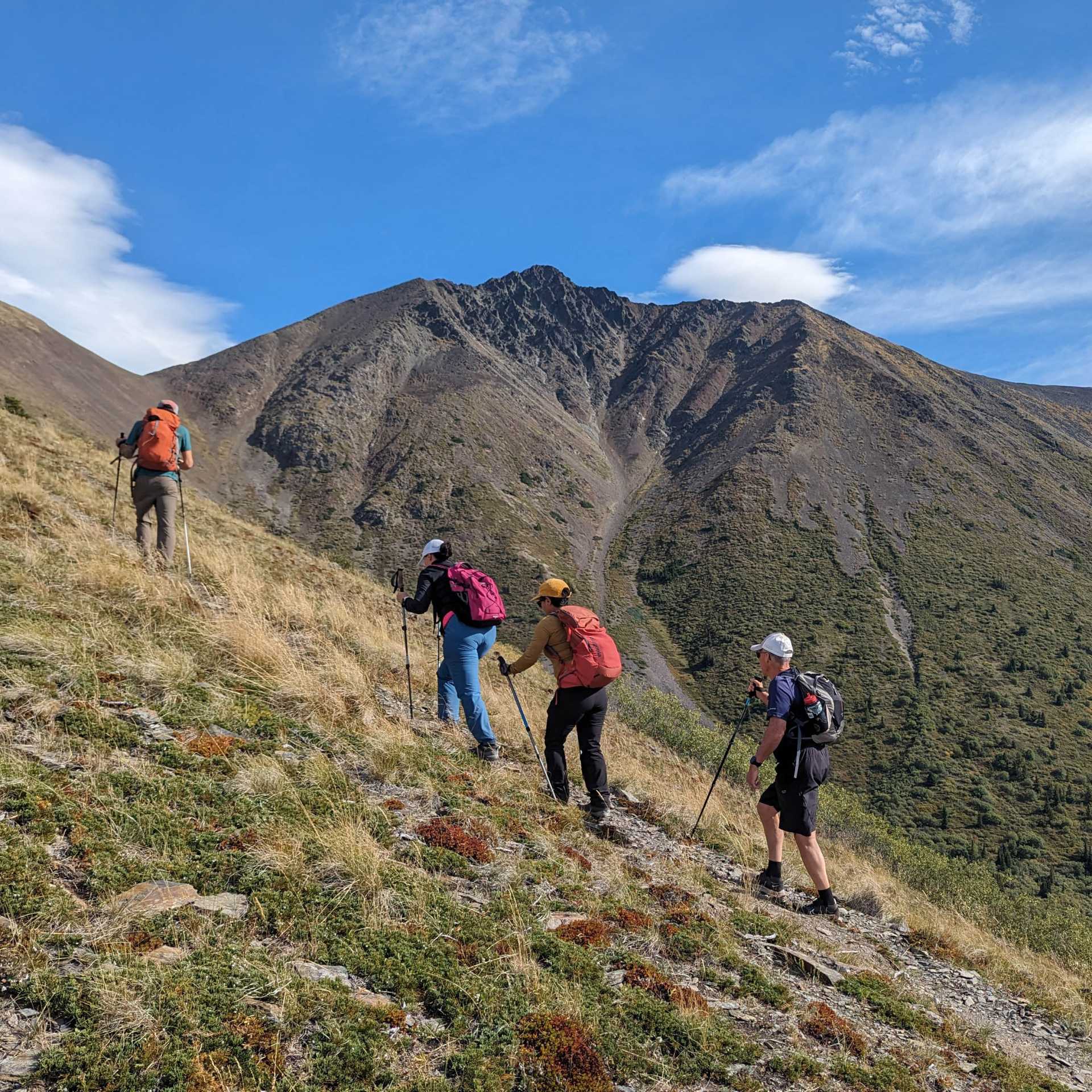Parks and wildlife of Yukon