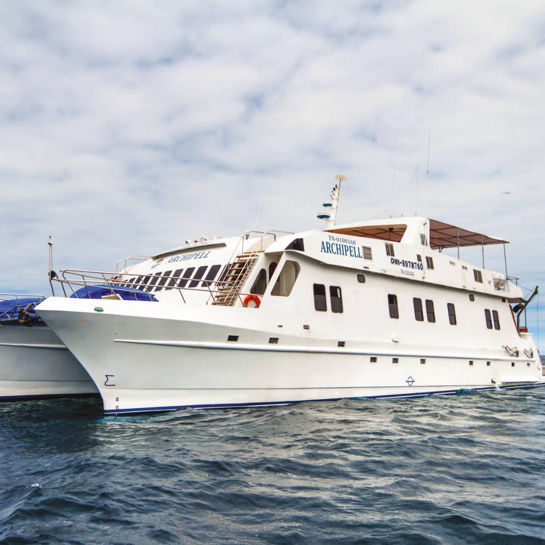 Galapagos in Depth Cruise on Archipel 1 | Galapagos Wildlife Adventures ...