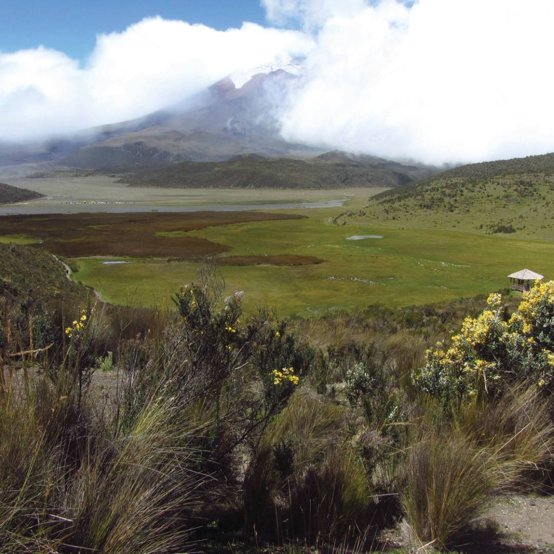 Ecuador Summits Climbing Expedition | Ecuador Mountaineering Trips ...
