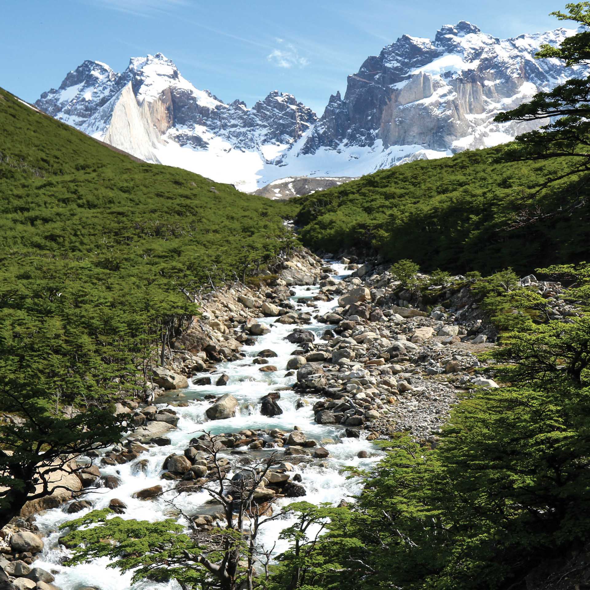 Patagonia Adventure Tour | Walking Holidays in Patagonia