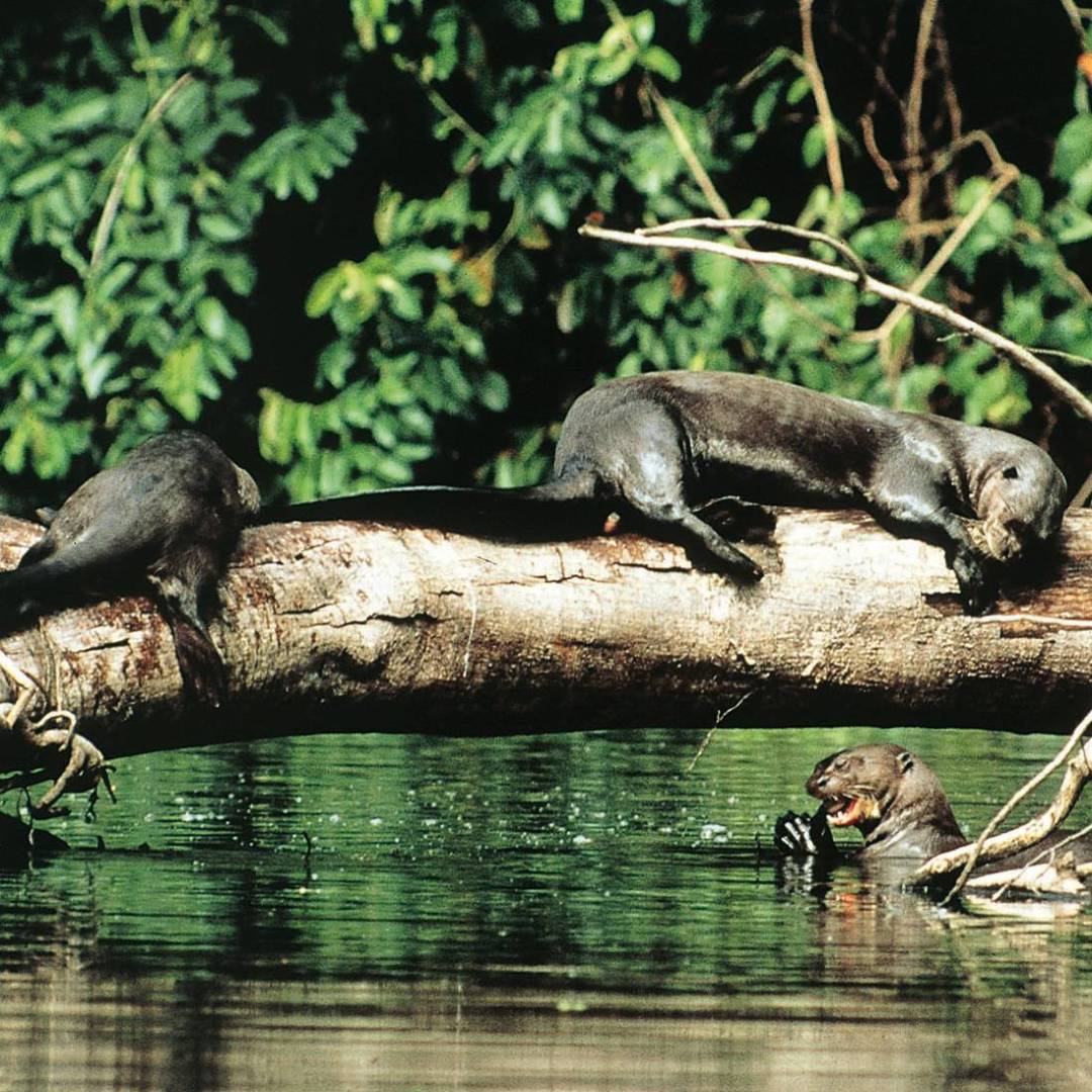 Peru Multi-Activity Family Adventure | Peru Family Travel | World ...