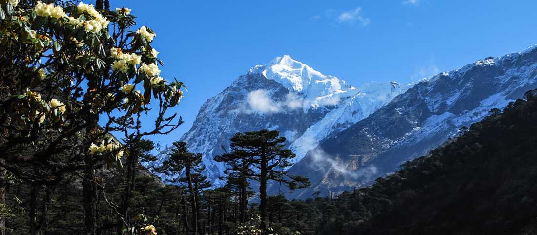 Sikkim: India’s Secret Himalayan Kingdom | World Expeditions
